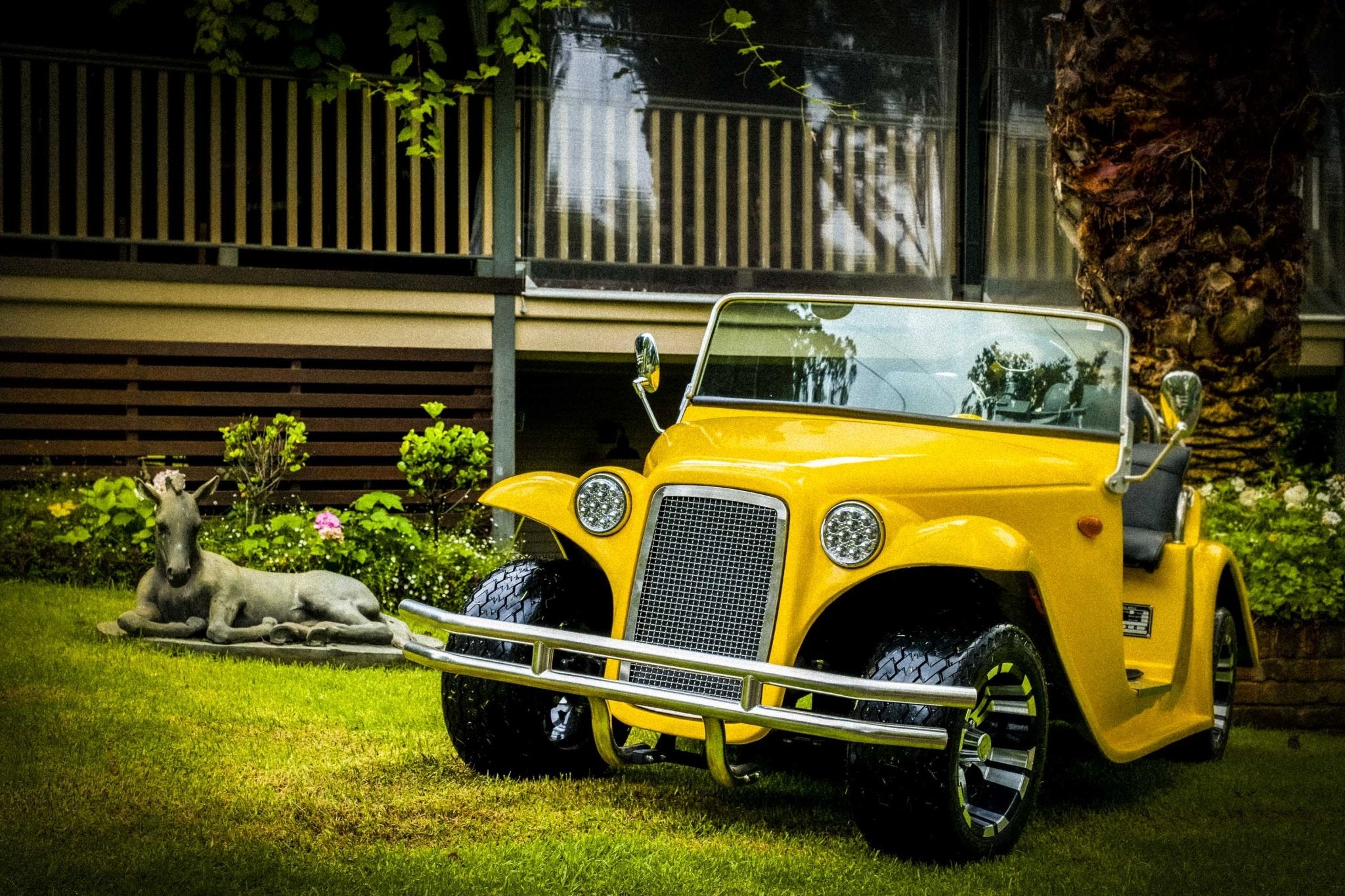 Sports Carts – Hawk Carts