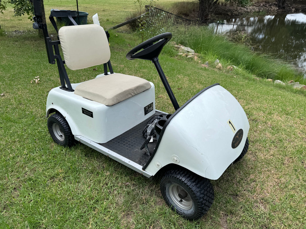Hawk Carts EV | Eco-Friendly Electric UTVs, Linen & Golf Carts